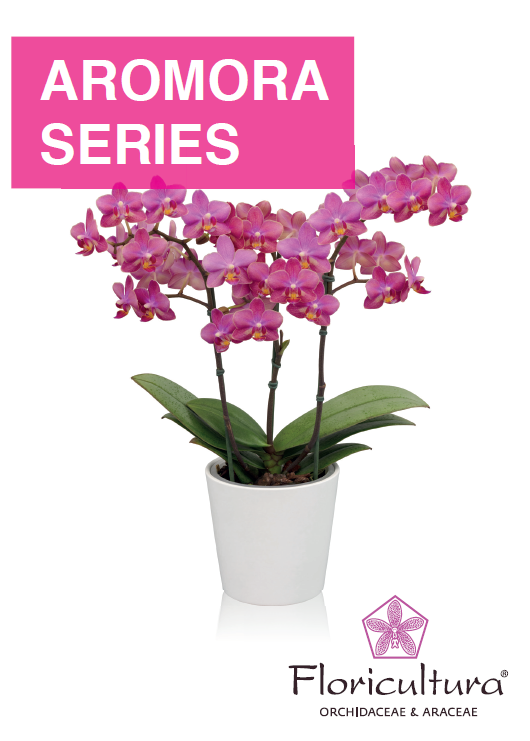 Floricultura - Floricultura